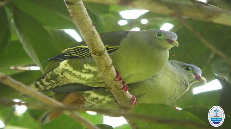 พื้นที่นำร่อง