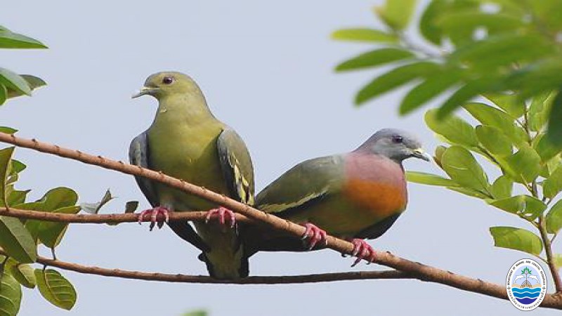 พื้นที่นำร่อง